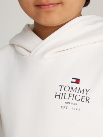 Tommy hilfiger icon artwork hoodie store